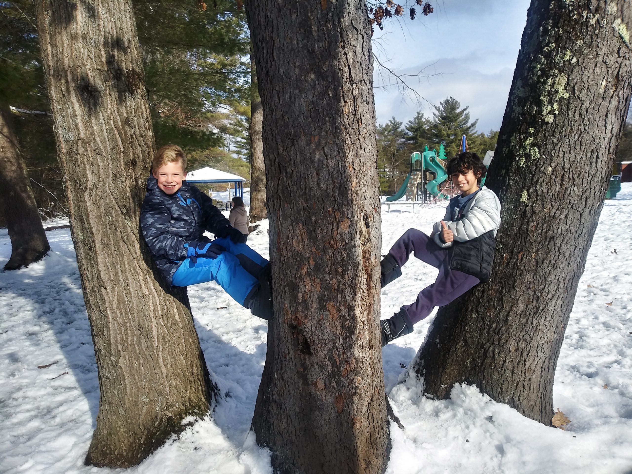 Greenfield Elementary - Saratoga City School District